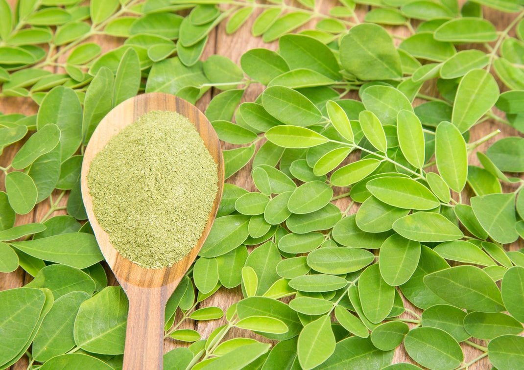 Moringa Products New Zealand – Moringa Products NZ